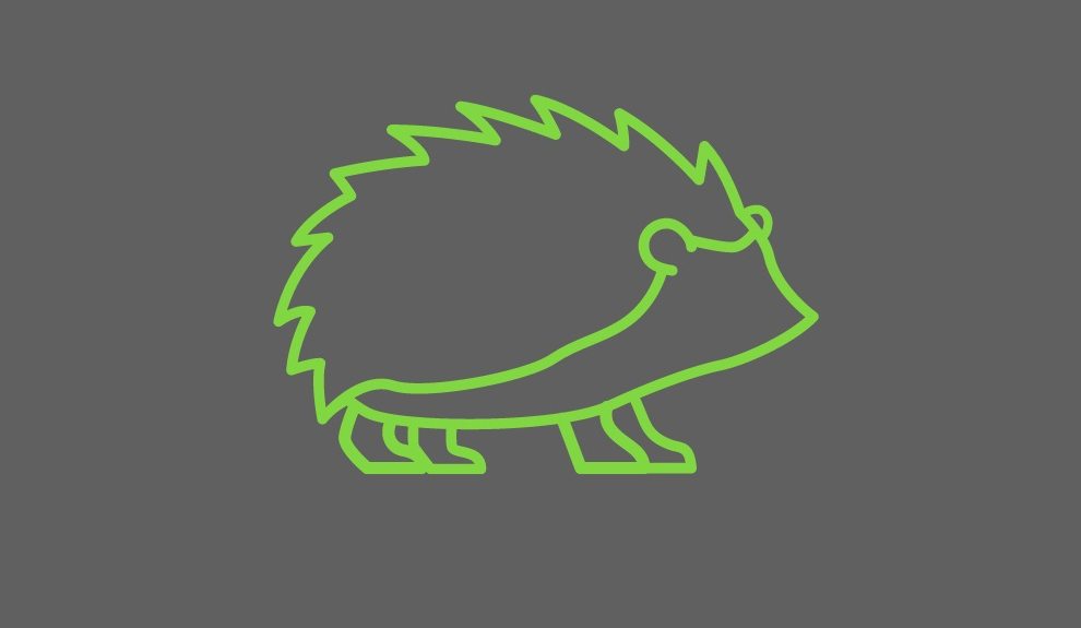 Projects Archives » The Hedgehog Program